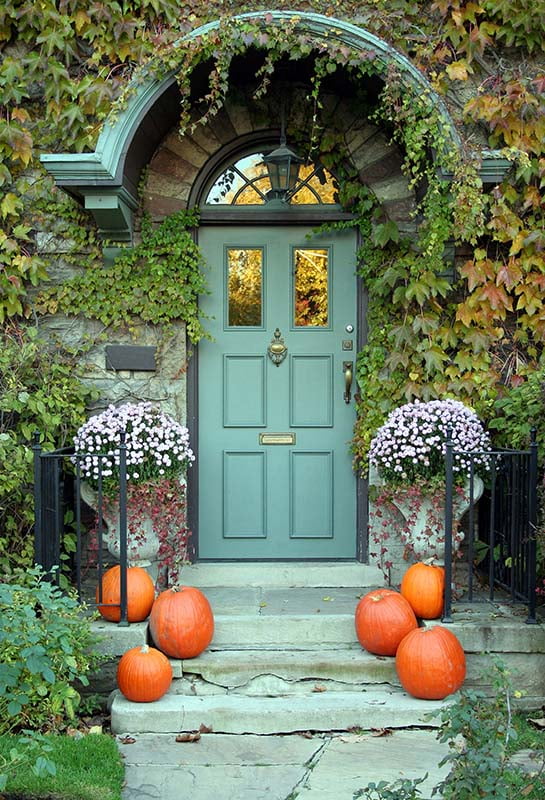 Halloween Backdrop Portrait Door Ivy Pumpkins 3D Custom Backgrounds for ...