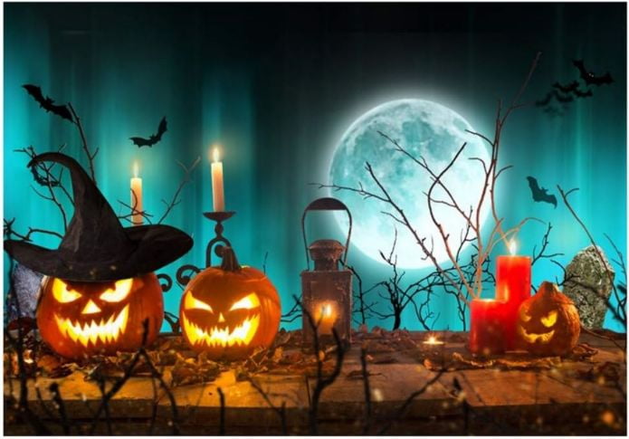 Halloween Background Witch Custom Birthday Backdrop Spooky Photo ...