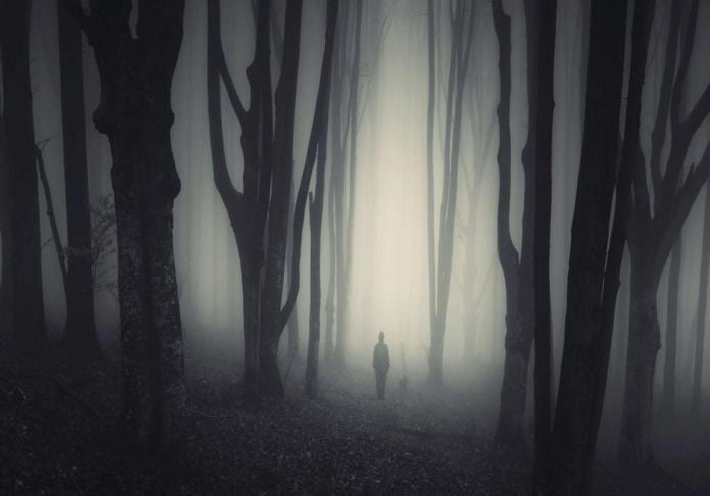 Halloween Bat Lantern Background Photo Skull Custom Birthday Backdrop ...