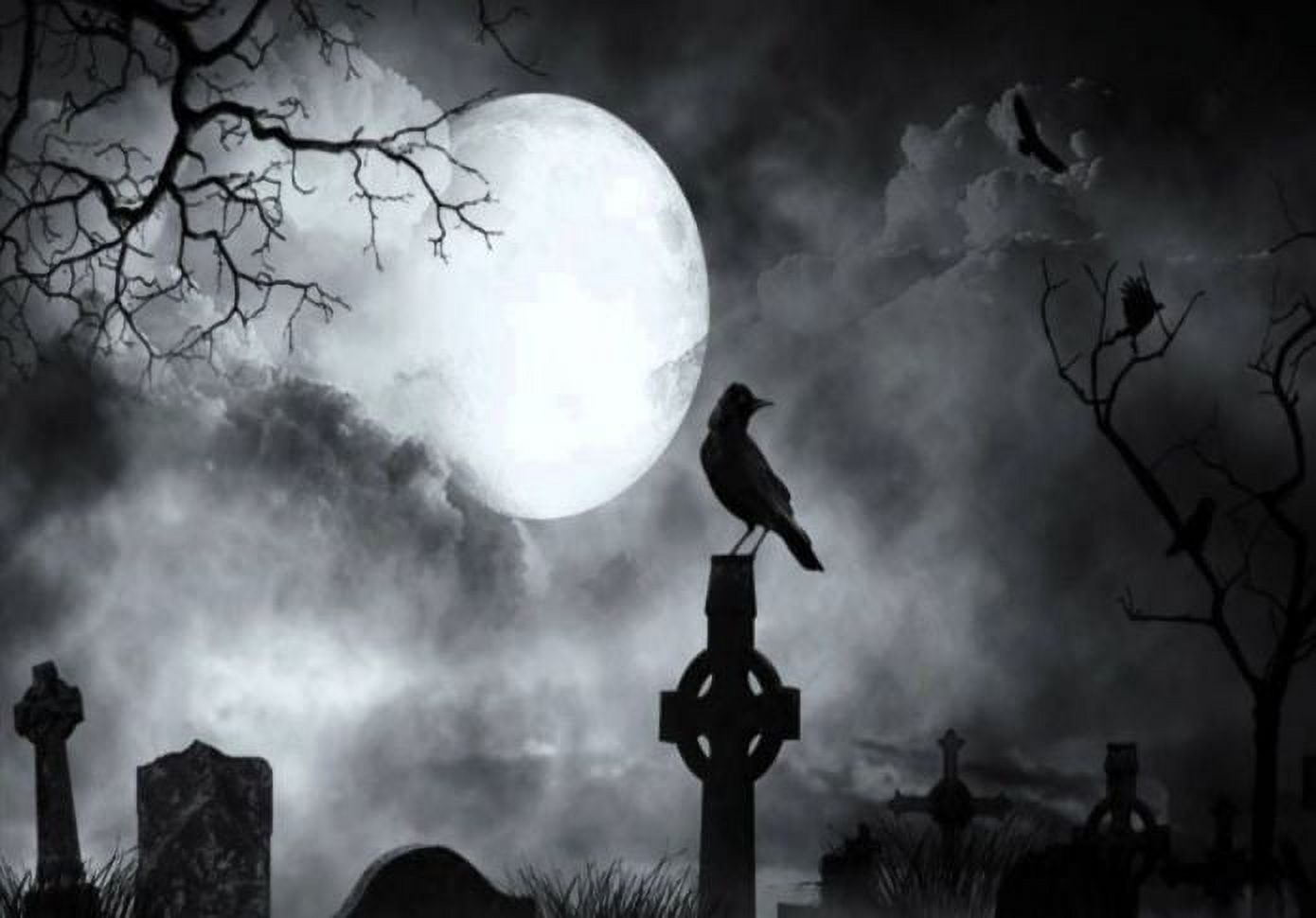 Halloween Bat Lantern Background Photo Skull Custom Birthday Backdrop ...