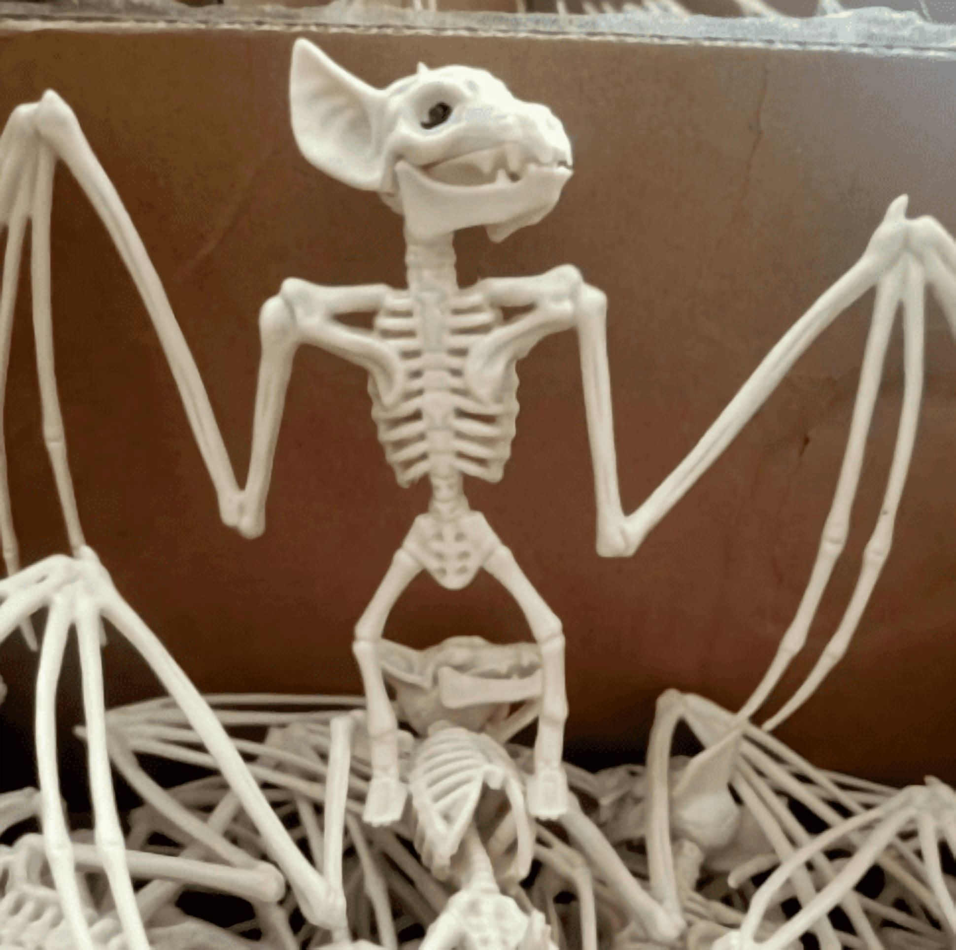 Halloween Bat Skeleton Decoration Posable Fake Animal Skeletons for ...