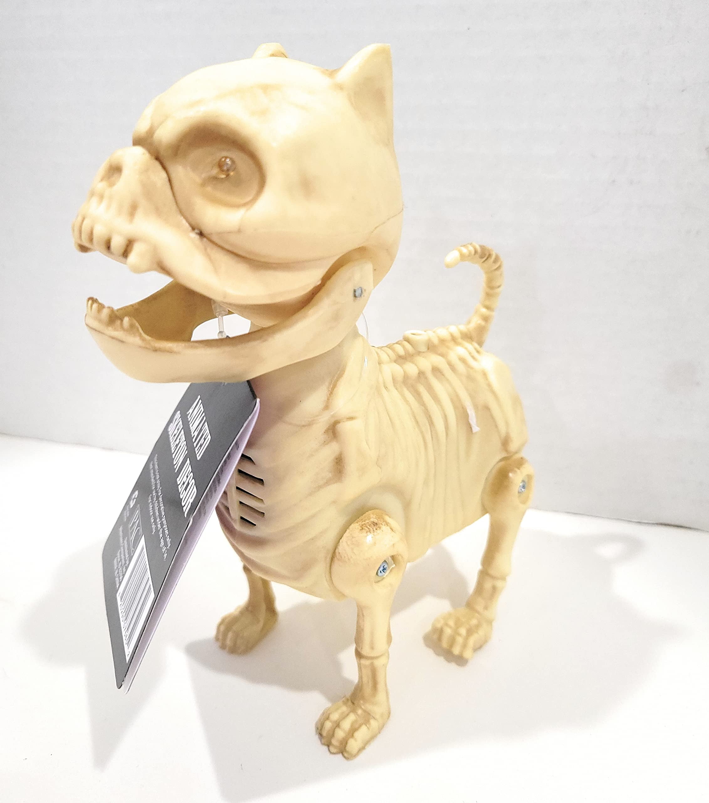 Halloween Bones Ornament Cat Kitten Skeleton Scary Model Creepy Animal ...