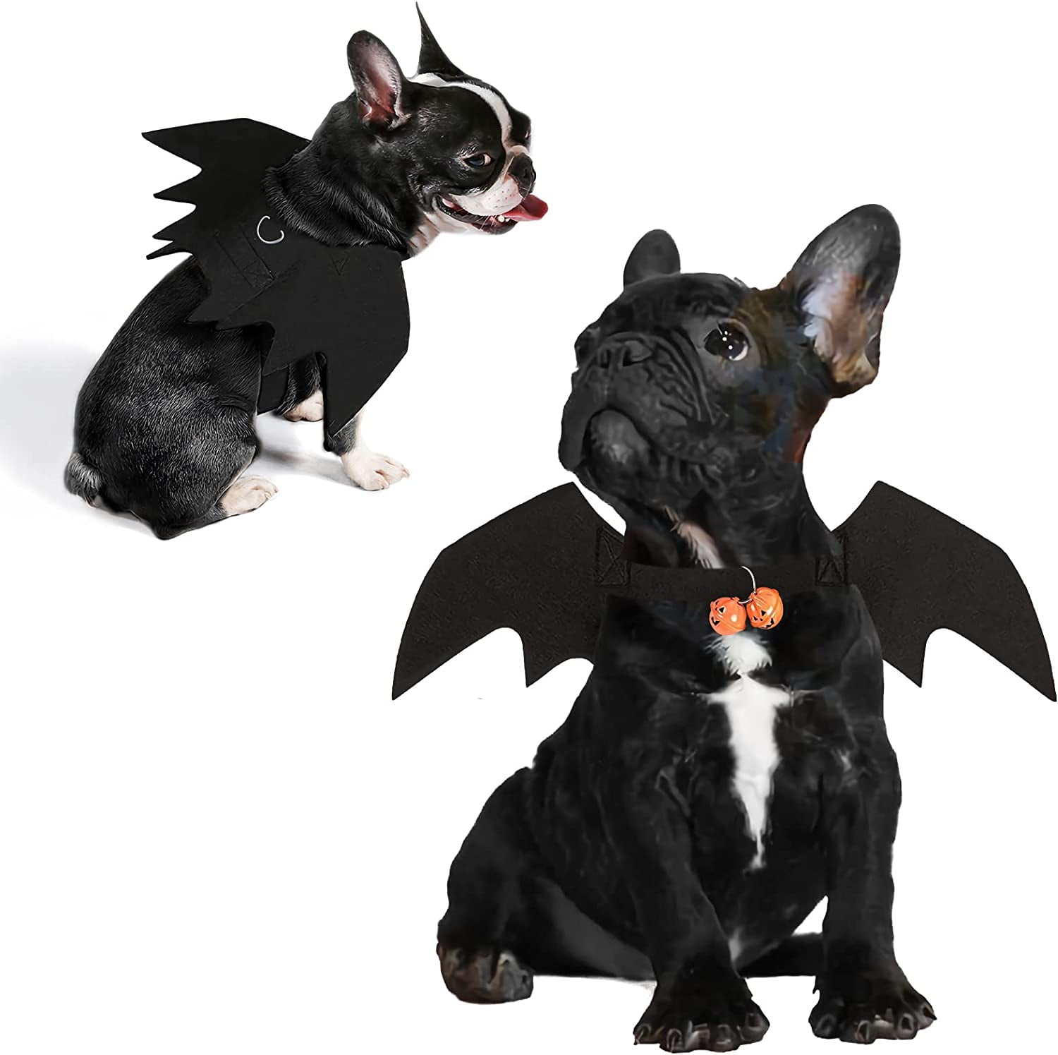 Halloween Cat Bat Wings Pet Costume, Cute Puppy Dog and Cat Collar Bat ...