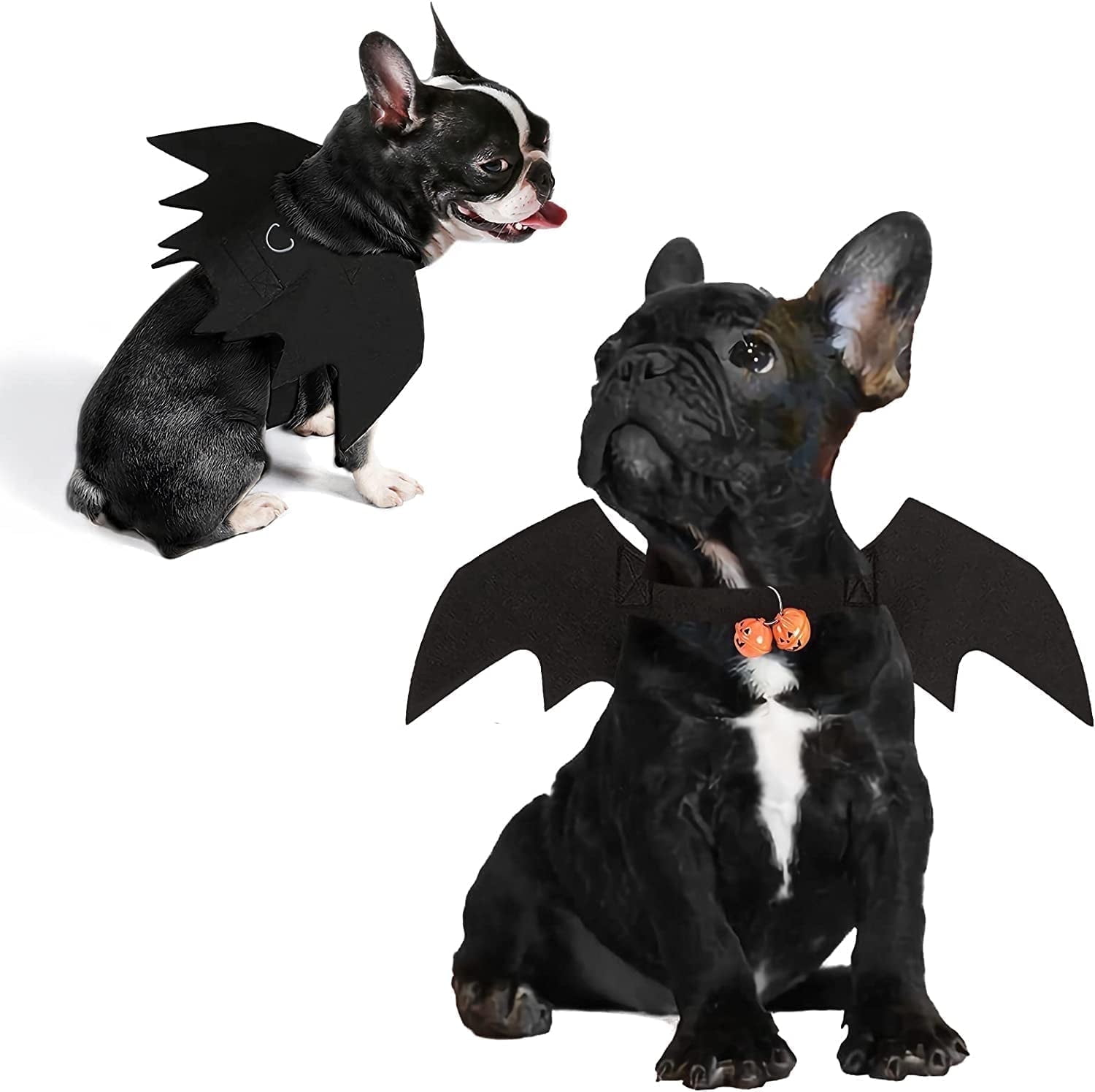 Halloween Cat Bat Wings Pet Costume for Halloween Party Decorations ...
