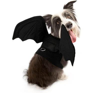 Halloween Cat Bat Wings Pet Costume for Halloween Party Decorations ...