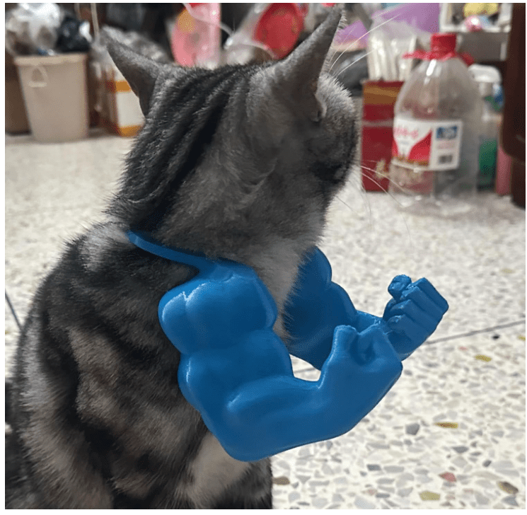 Halloween Creative Cat Muscle Arms, 3D Printed Cat's Neck Arm with ...