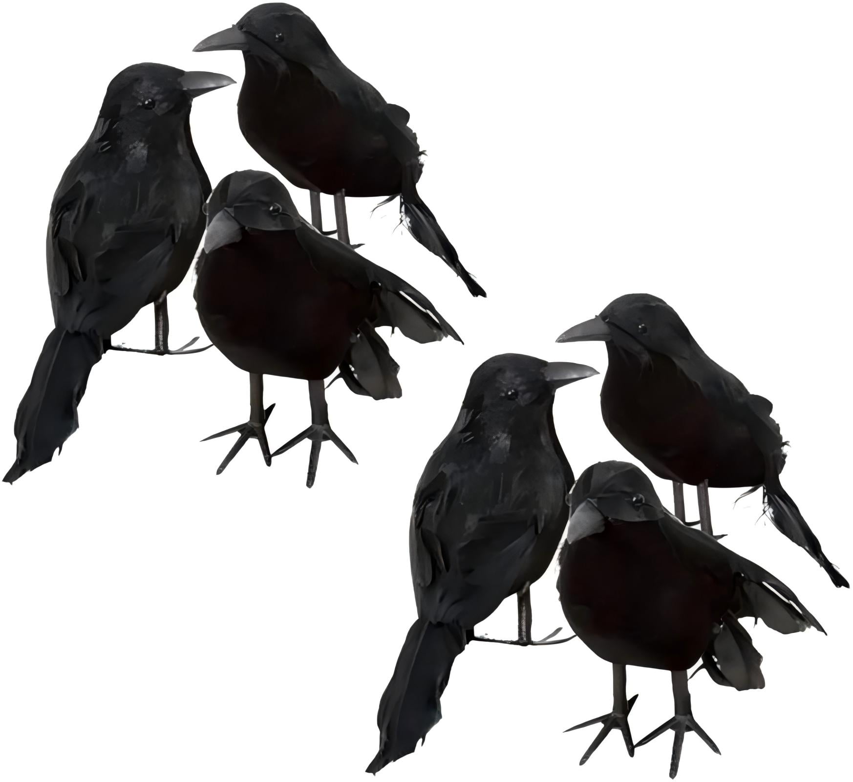 Halloween Crow Decor - 6 Realistic Black Crows with Feathers, Lifelike ...