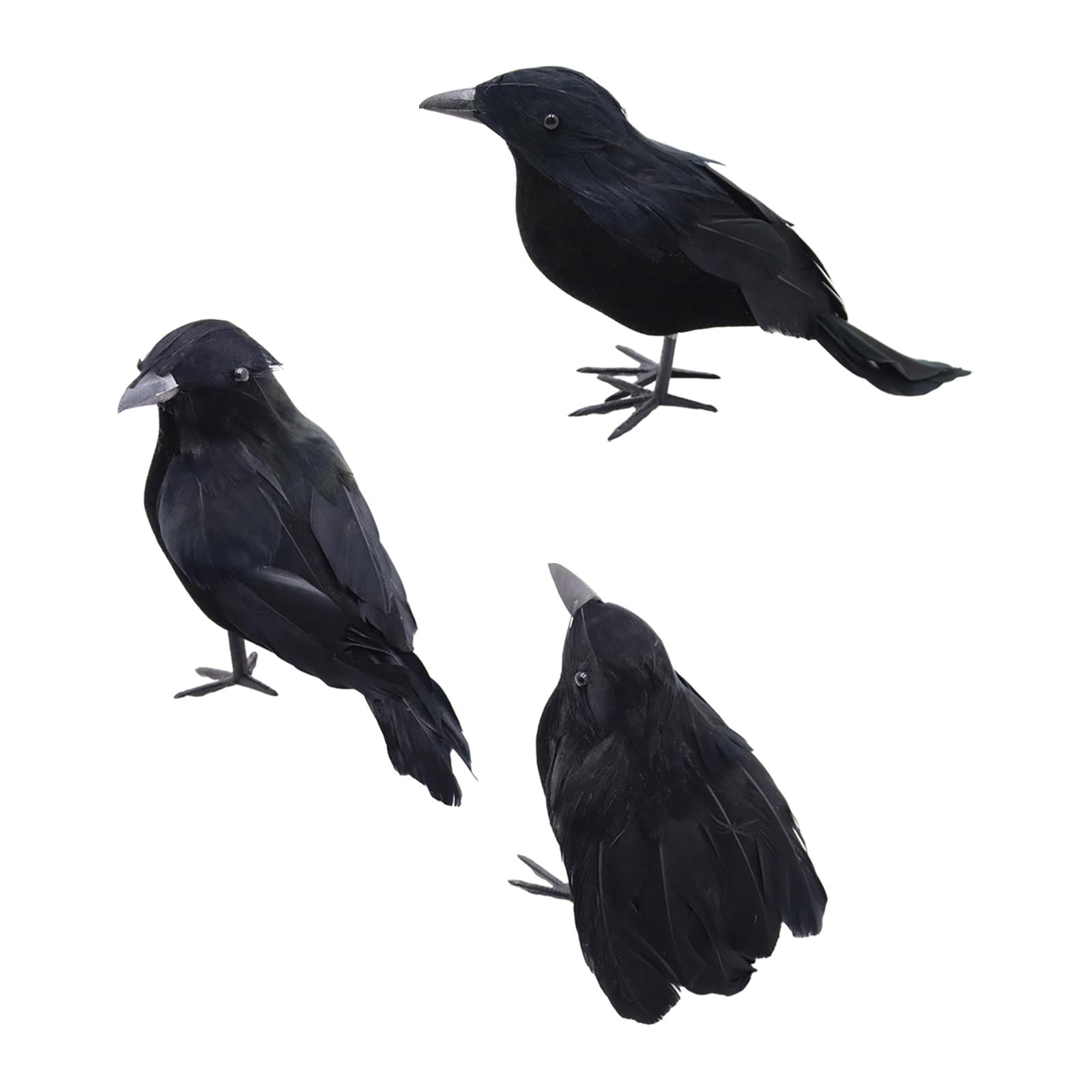 Halloween Props 6pc Halloween Crows - Realistic Large Black Ravens ...
