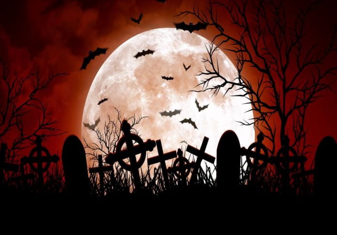 Halloween Custom Birthday Backdrop Skull Background ration Party Baby ...
