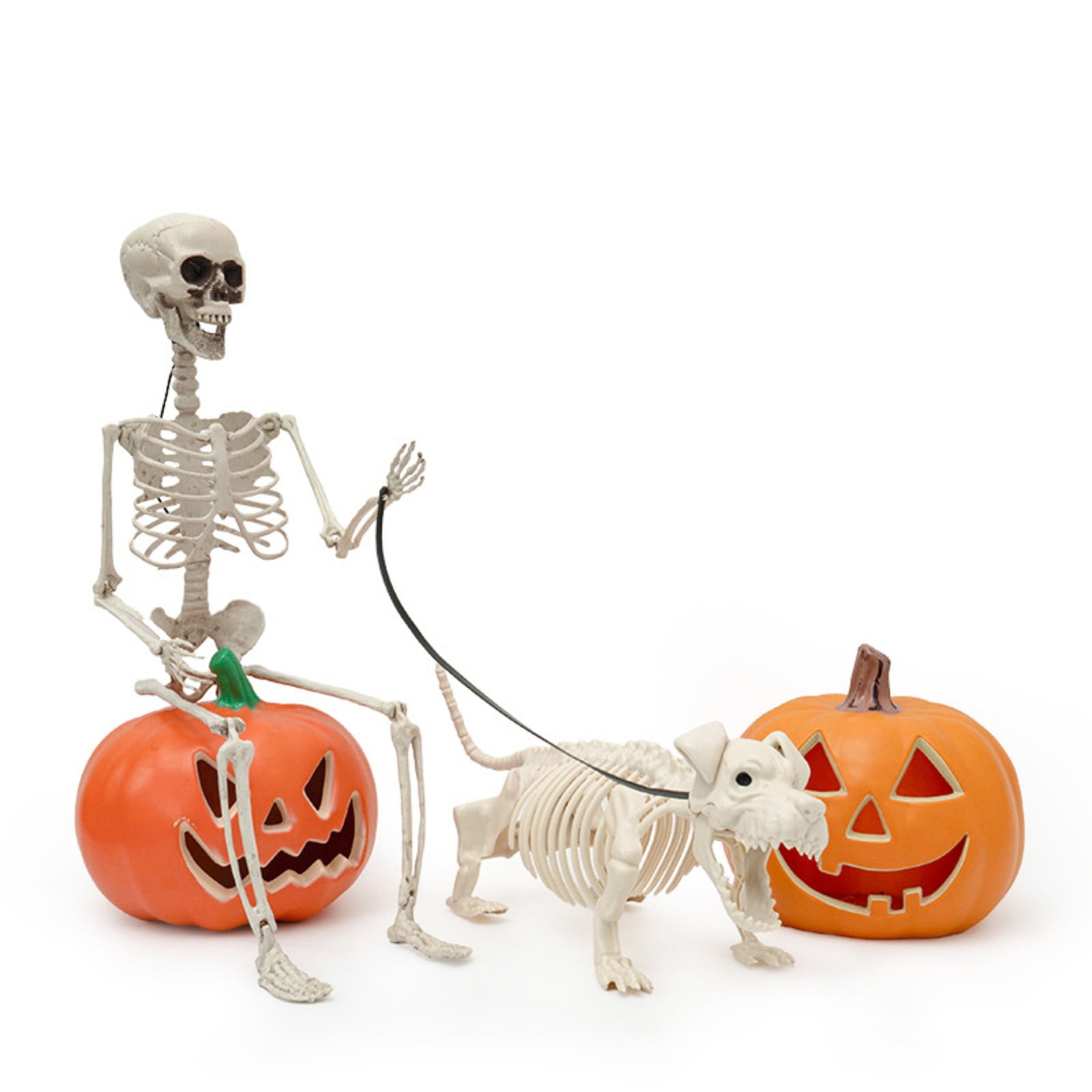 Halloween Decor Indoor, Halloween Skeleton, Skeleton Dog Large, Dog ...