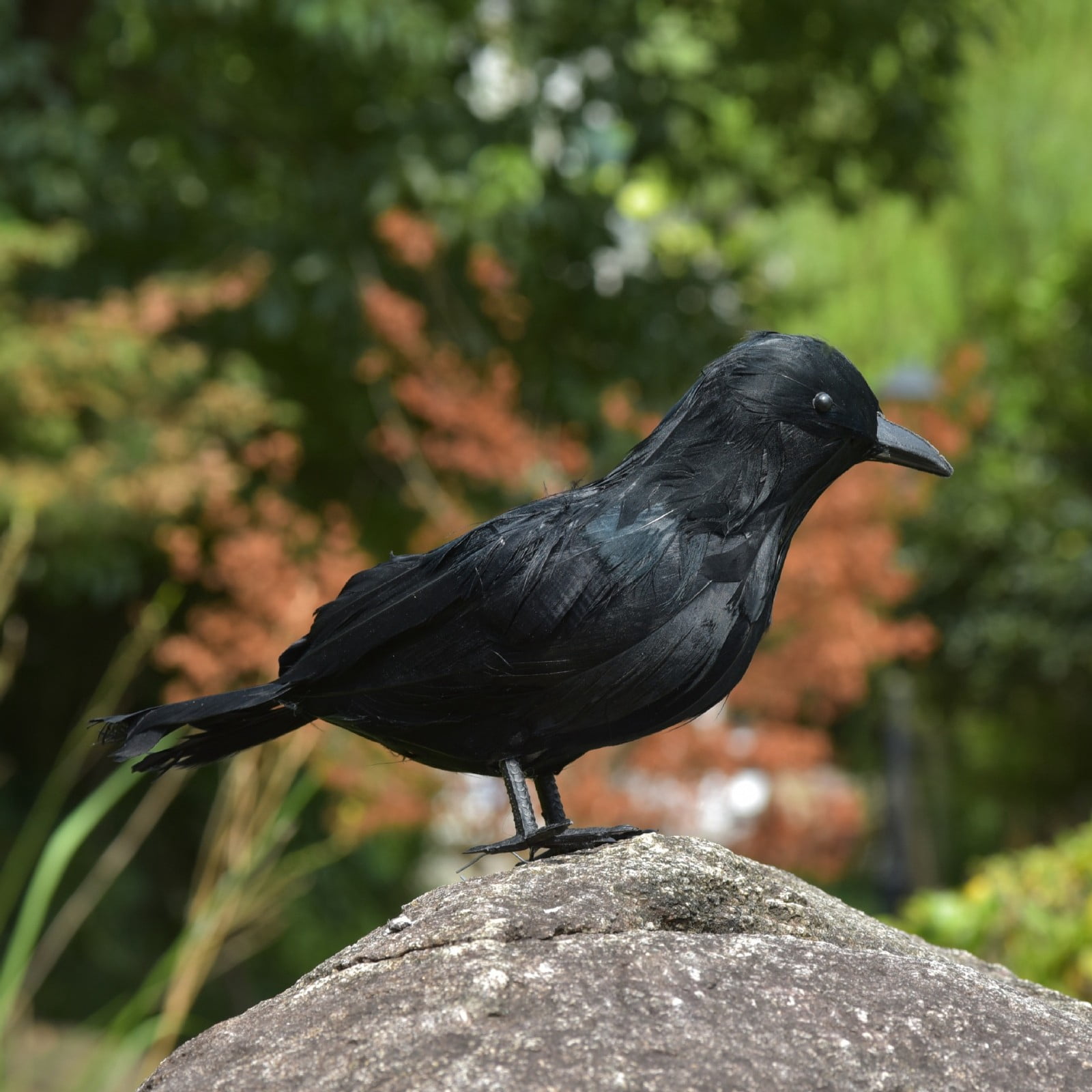 Halloween Decoration 12 Inch Black Crow Prop, Realistic Feathered Bird ...