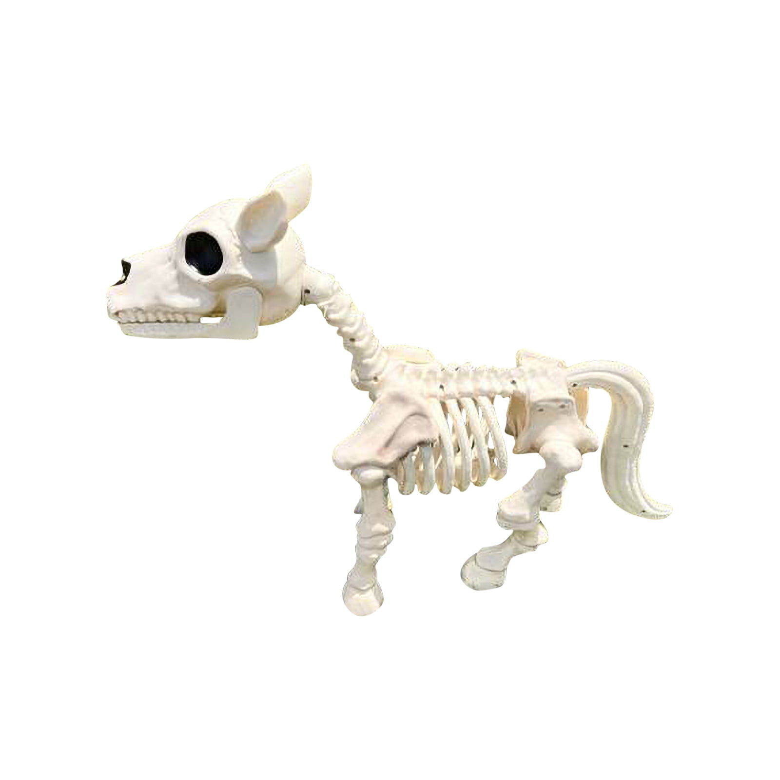 Halloween Decoration,Horse Bonez Skeleton,Halloween Skeleton Horse ...