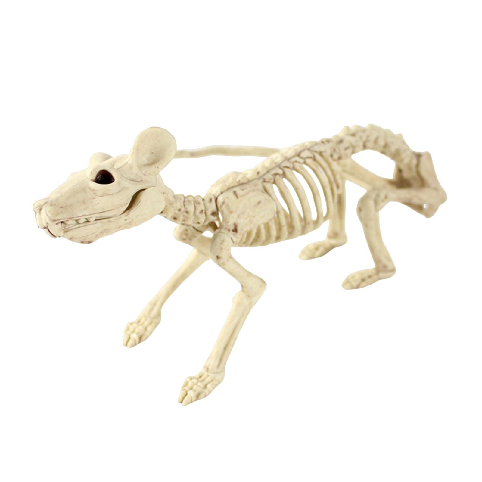Halloween Decoration Mini Skeleton Bone Statues Poseable Rat Dog Spider ...