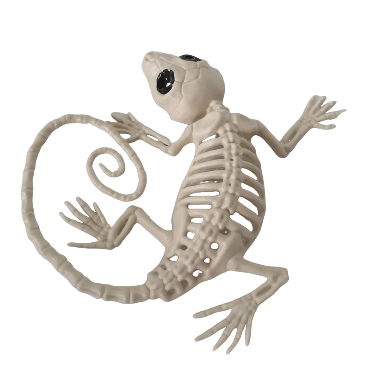 Halloween Decoration Mini Skeleton Bone Statues Poseable Rat Dog Spider ...