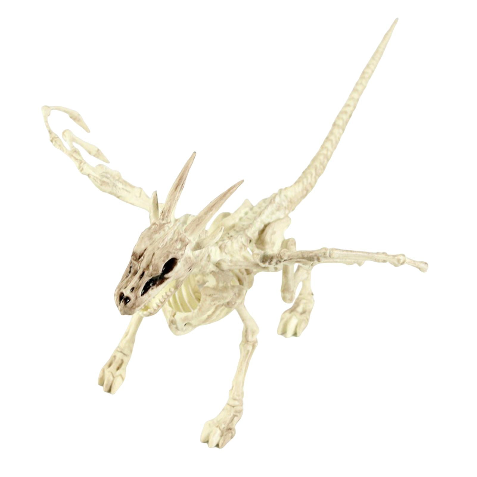 Halloween Decoration Mini Skeleton Bone Statues Poseable Rat Dog Spider ...