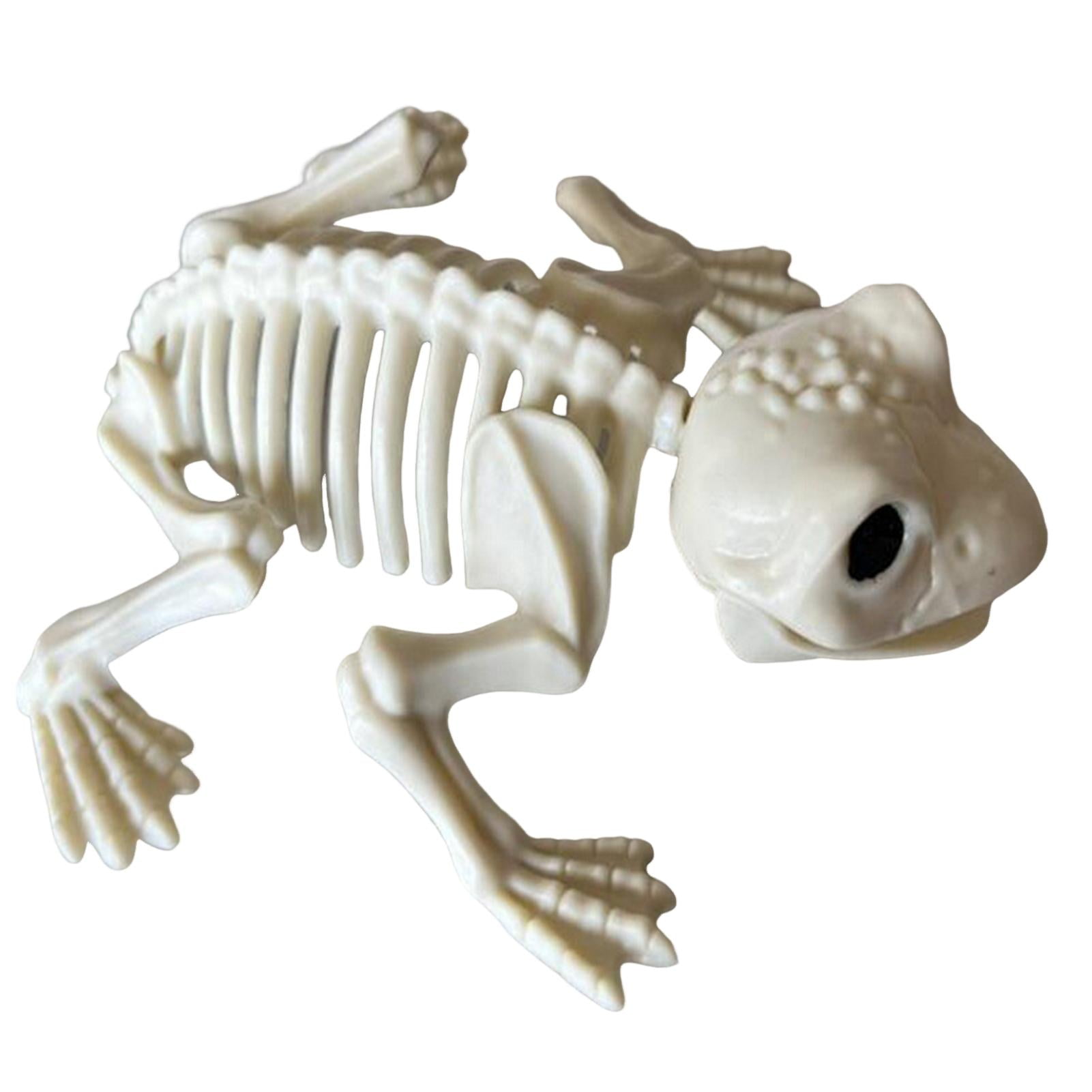 Halloween Decoration Mini Skeleton Bone Statues Poseable Rat Dog Spider ...