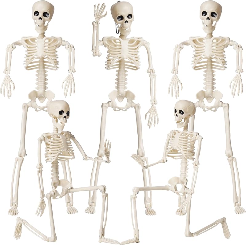 Halloween Decoration Outdoor Skeleton, 16" Plastic Posable Skeleton ...