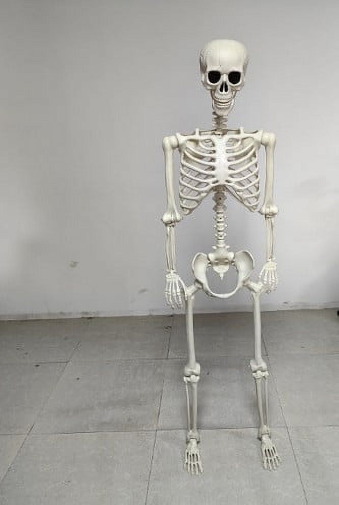 Halloween Decorations Halloween Skeleton Prop Human Full Size Skull ...