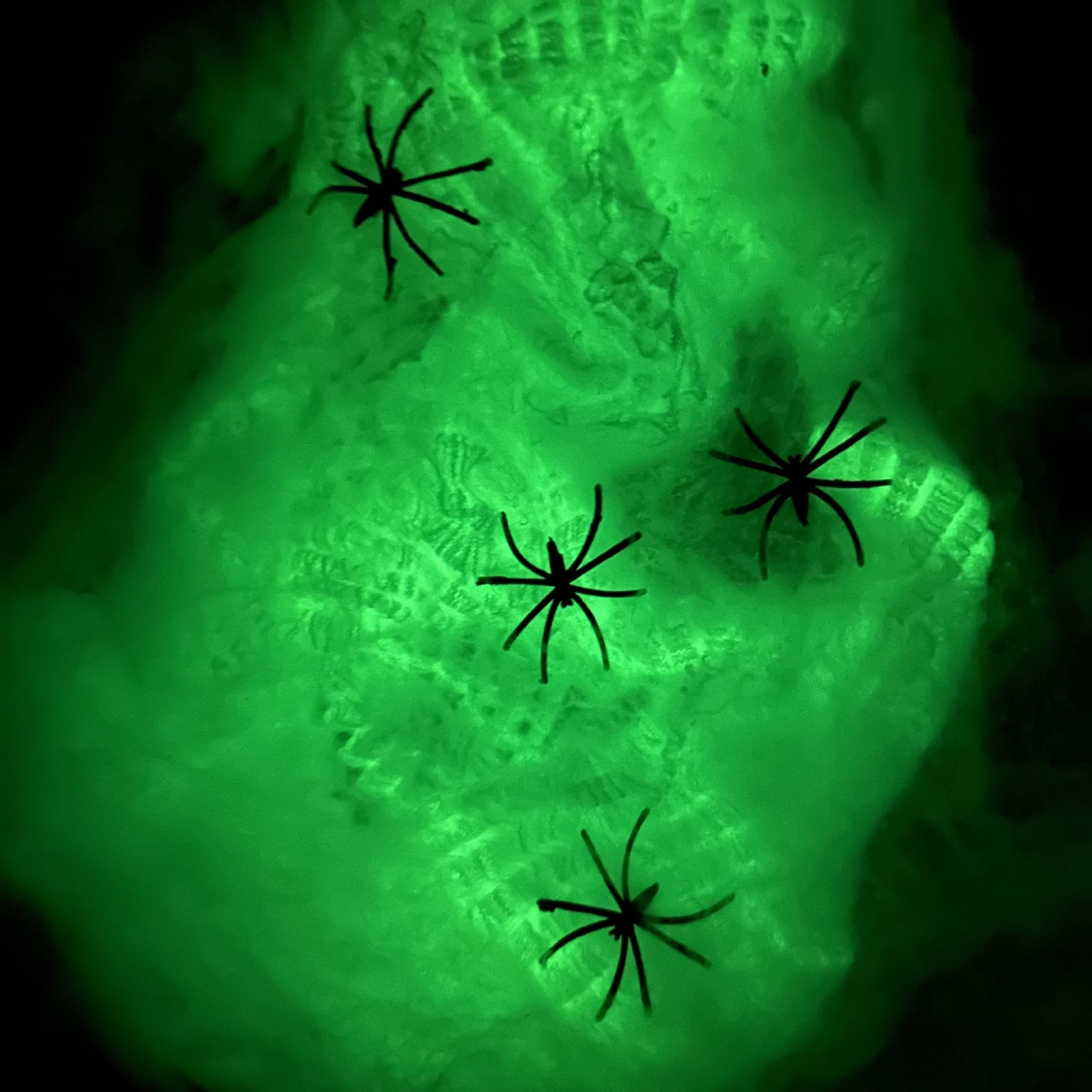Halloween Decorations Include Luminous Spider Webs, Luminous Spider ...