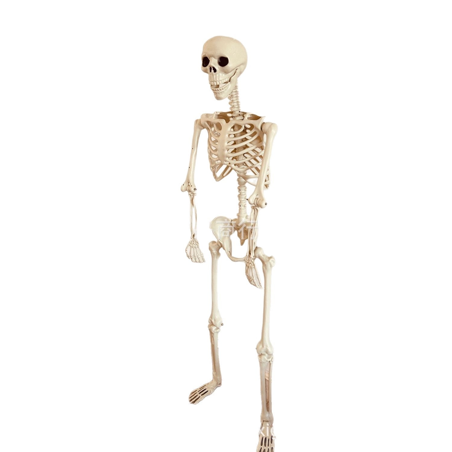 Halloween Decorations Indoor, Halloween Figurine, 170CM Skeleton Joint ...