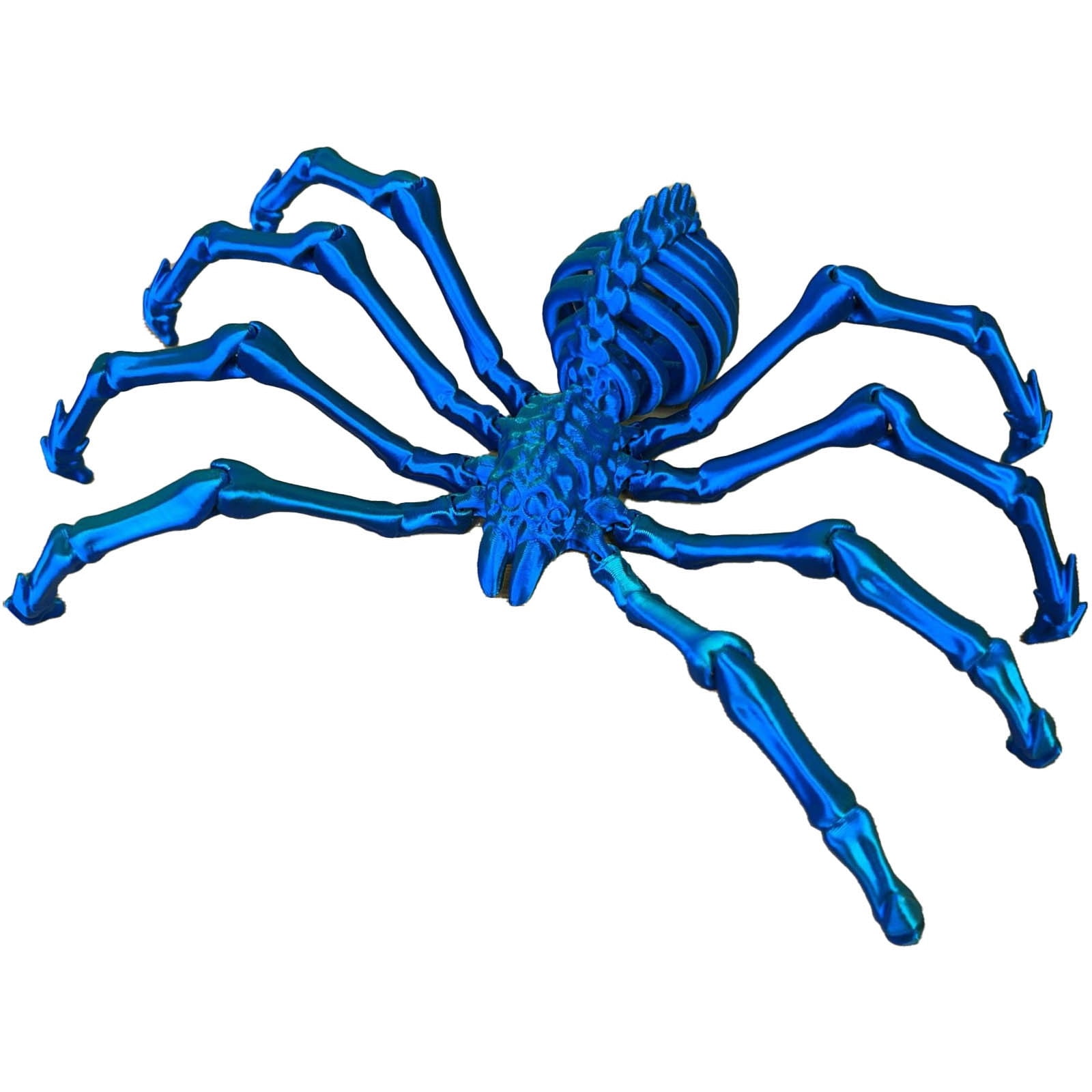 Halloween Decorations Indoor Spider, Hwkond Hell Skeleton Wolf Spider ...