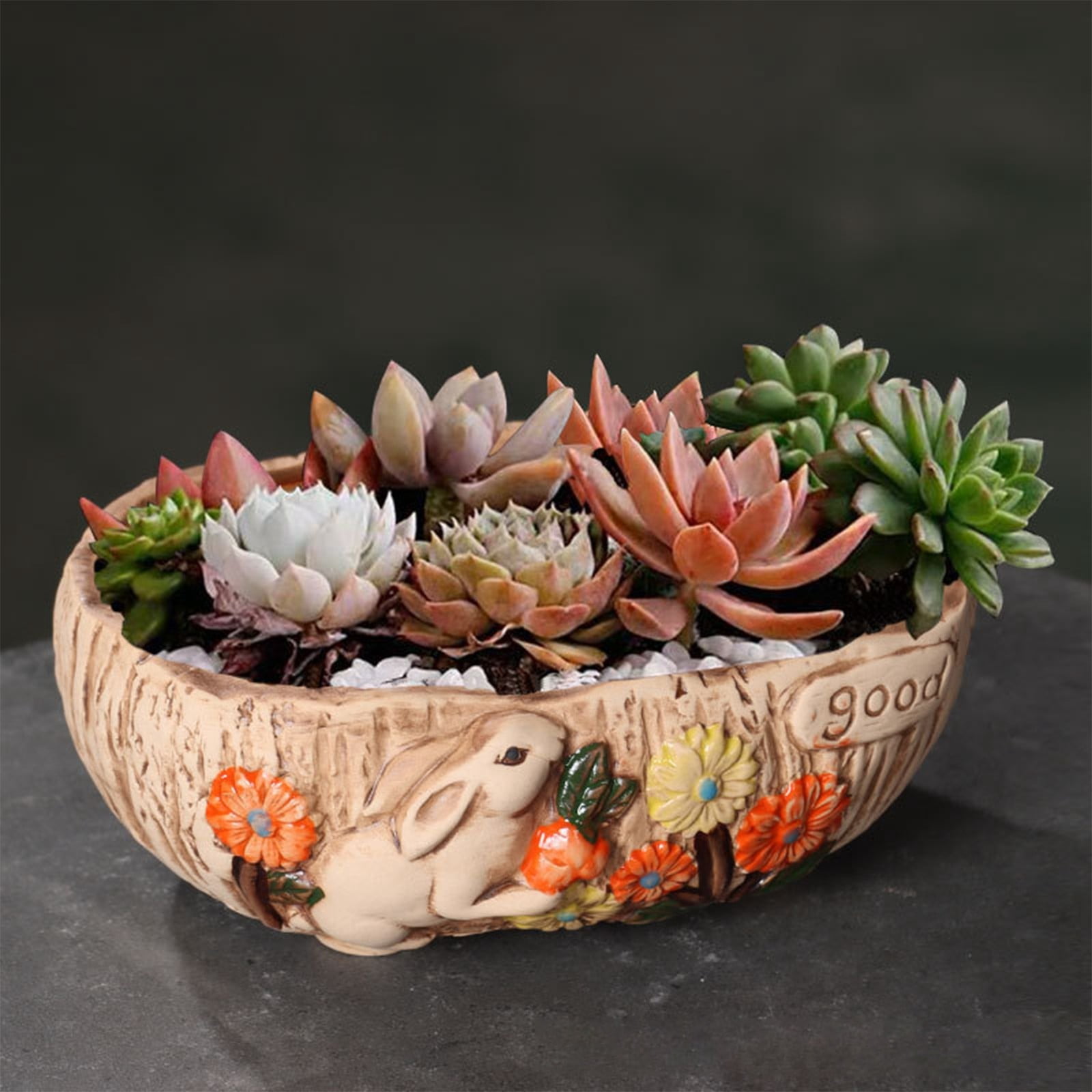 Halloween Decorations Meaty Flower Pot Ceramic Big Flower Pot Simple ...