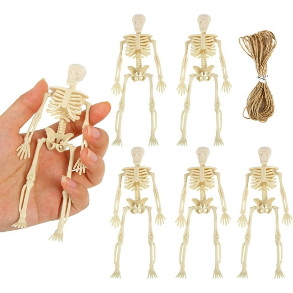 Mini Skeleton
