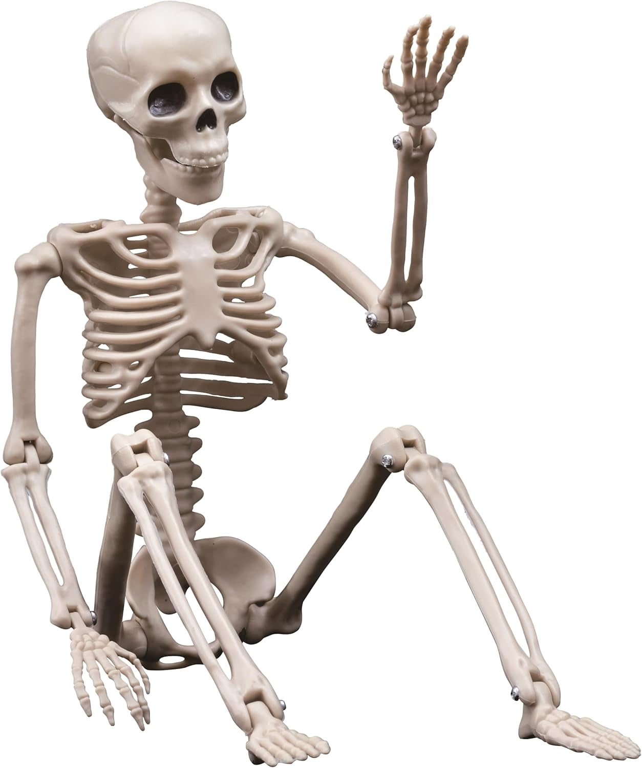 Halloween Decorations Outdoor Skeletons - 16" Posable Plastic Skeleton ...