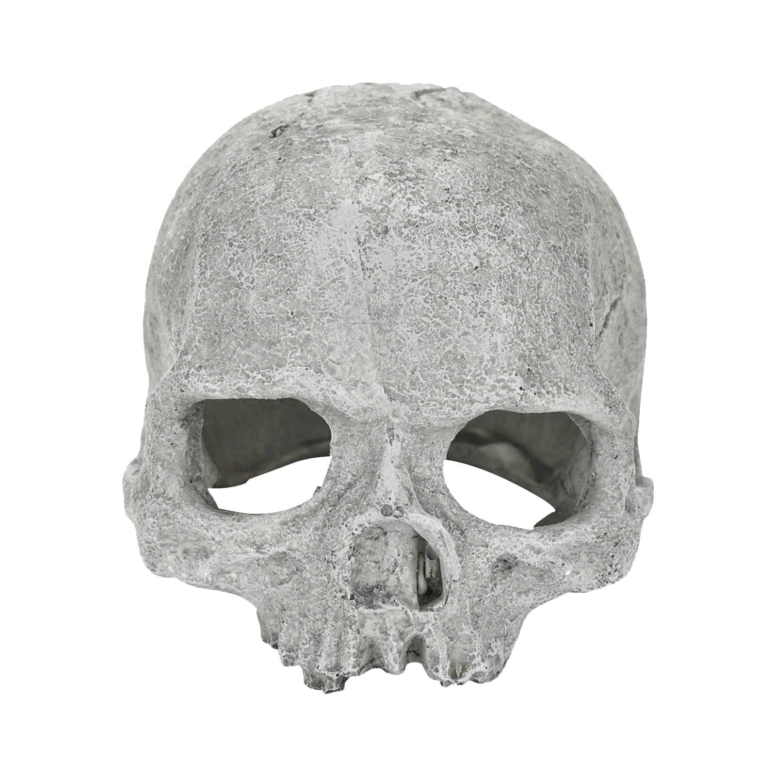 Halloween Decorations Spider, Hwkond Halloween Home Decoration ...