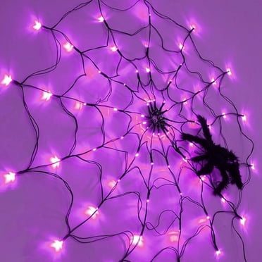 4' x 6' Halloween LED Net Lights, Purple and Orange, Outdoor Decoration ...