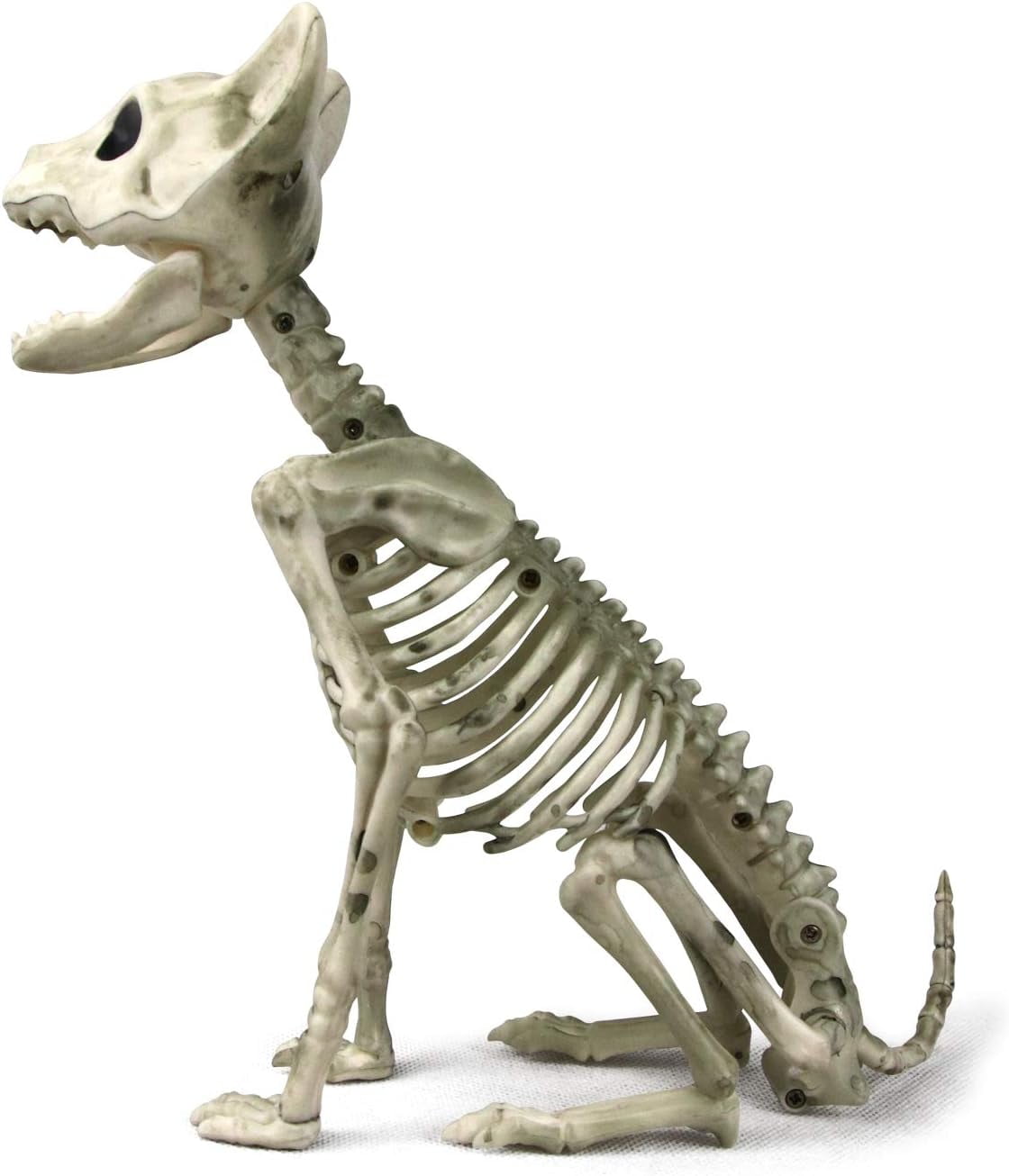 Halloween Decorative Miniature Skeleton Dog, Plastic Squat Dog Bones ...