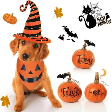 Vehomy 3Pcs Bearded Dragon Shark Outfit - S M L Lizard Reptile Shark ...