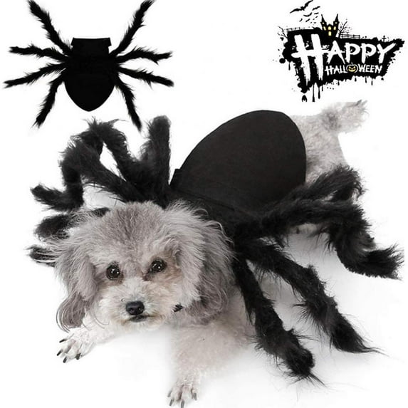 Halloween Dog Cat Spider Costume,Halloween Cosplay Costumes for Small ...