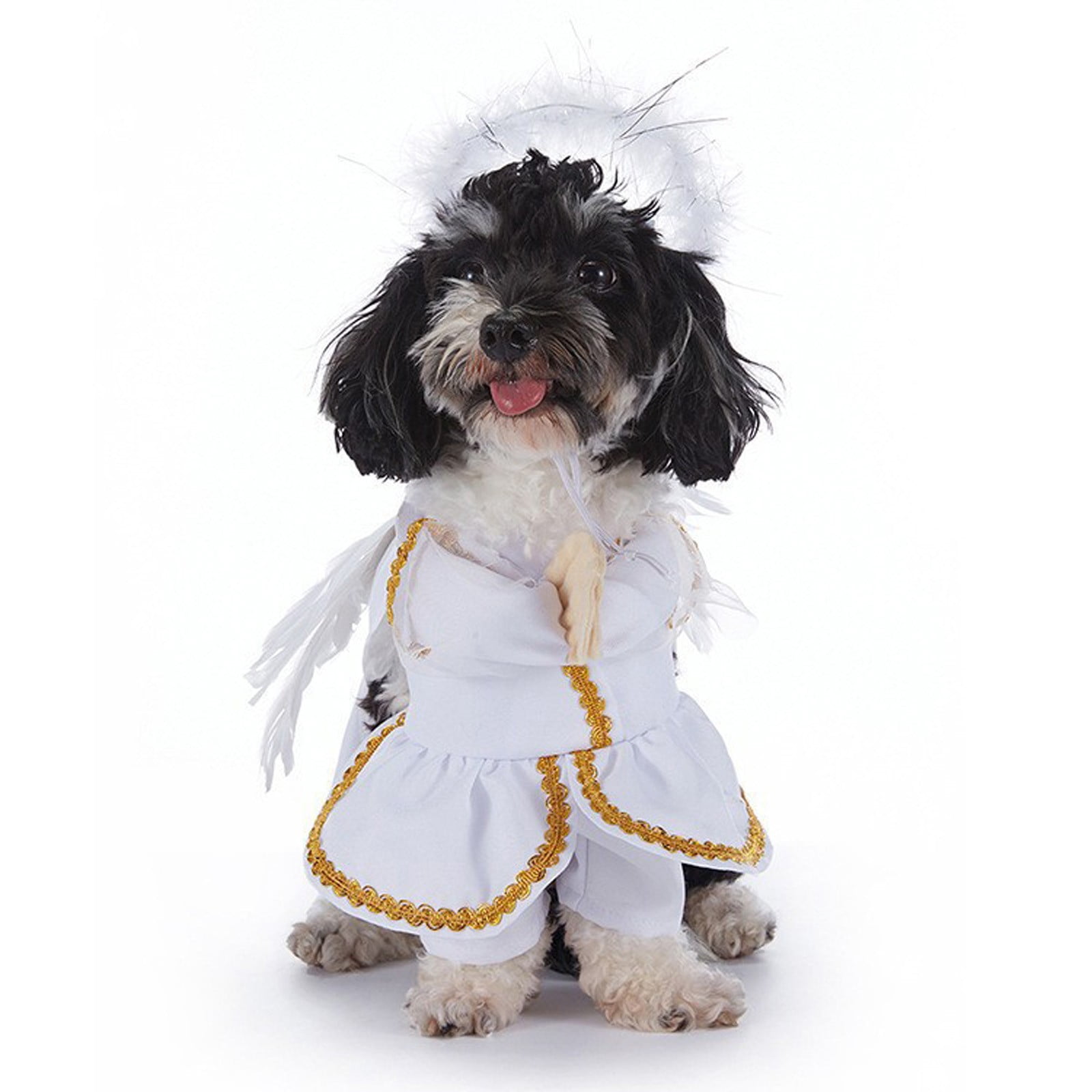 Halloween Dog Cos-tumes，Small Dog Halloween Cos-tumes Adorable Outfit ...