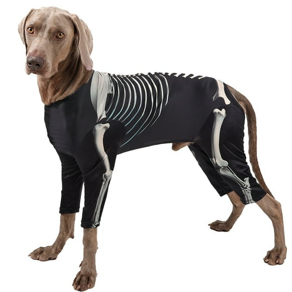 Large Breed Dog Costumes