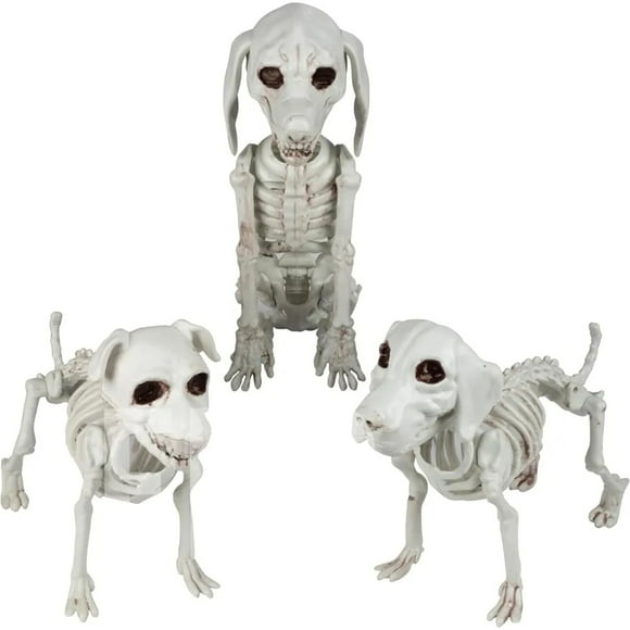 Dog Skeleton