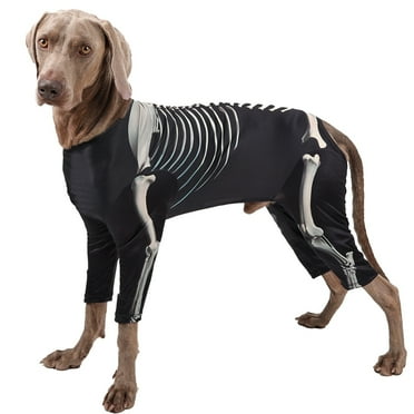 Underdog Dog Costume - Walmart.com