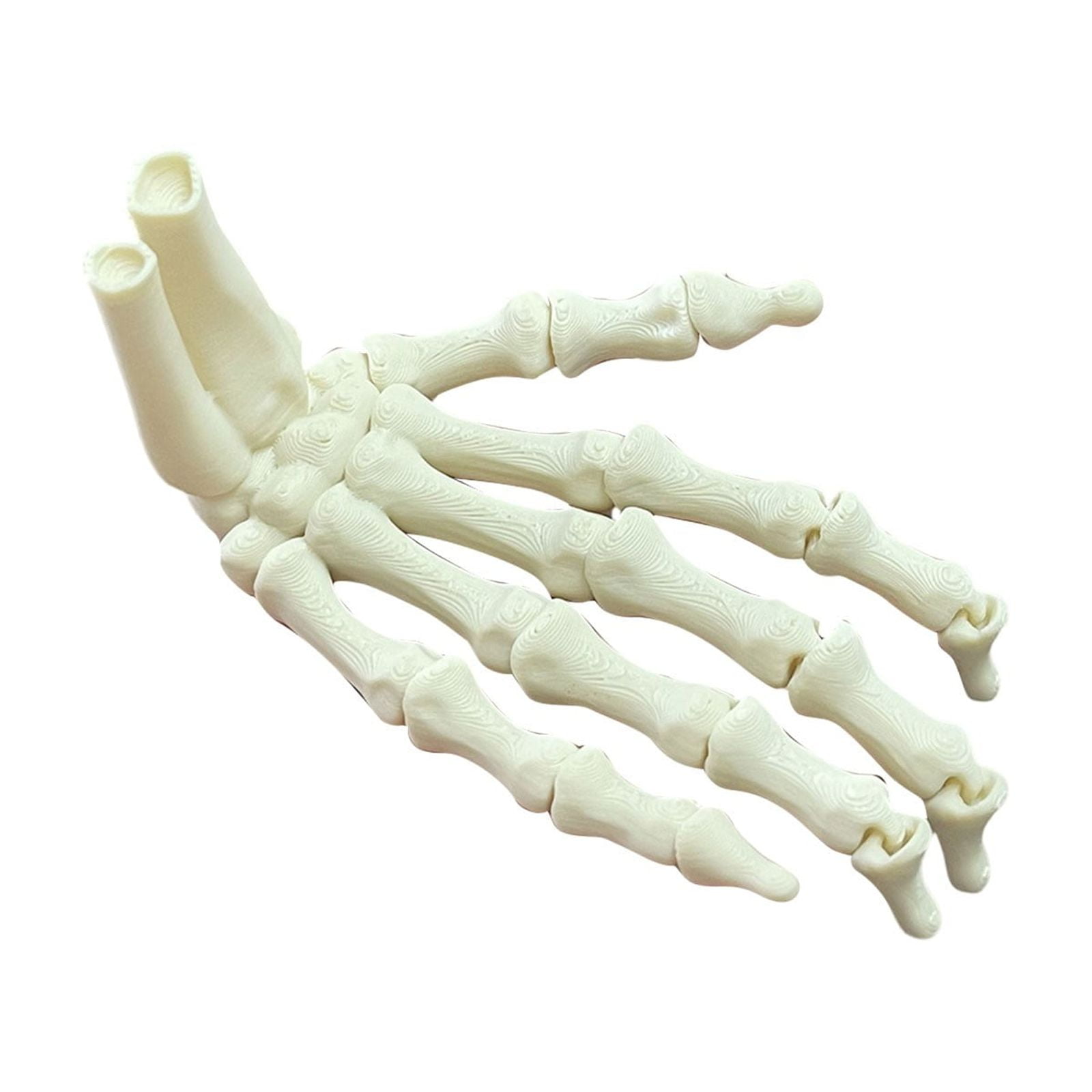 Halloween Human Hand Skeleton Model - Life-Sized 3D Printed Anatomical ...