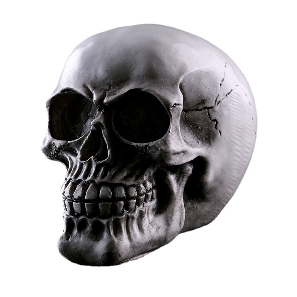 Halloween Human Skull Model Human Plastic Skull Decor Fake Skull ...
