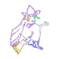 HOLIDYNAMICS Halloween LED Flying Witch Outdoor Decoration, 46" Wire ...