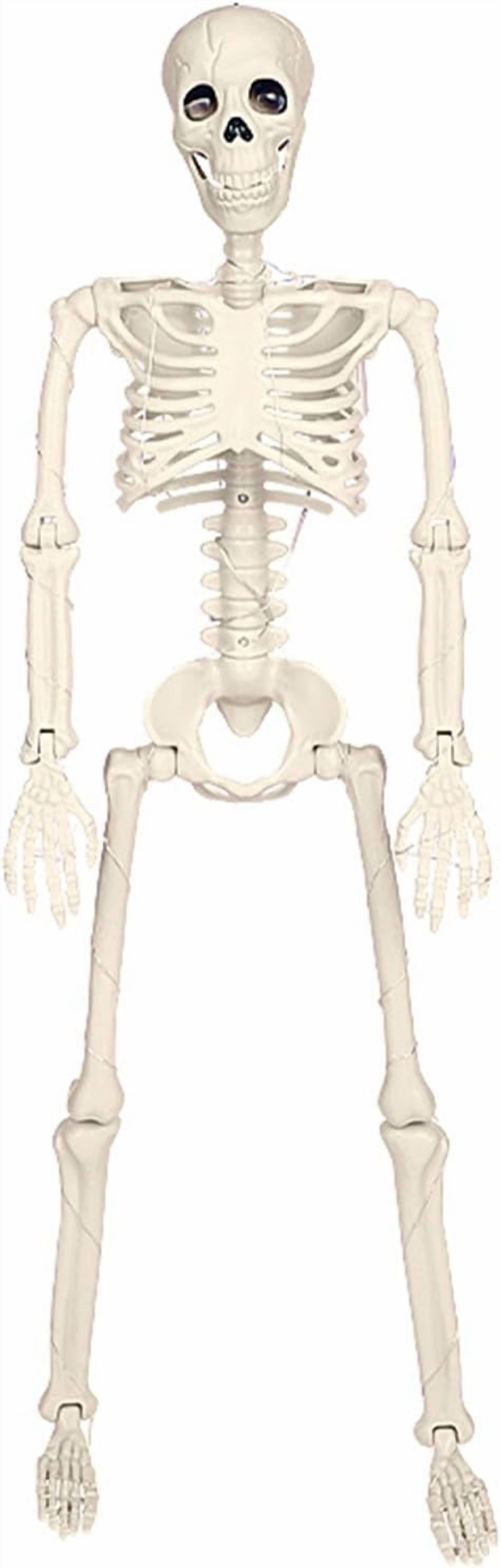 Halloween Life-Size Poseable Skeleton Decor with Glow Eyes, Illuminated ...