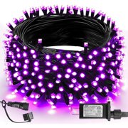 Purple Outdoor Lights