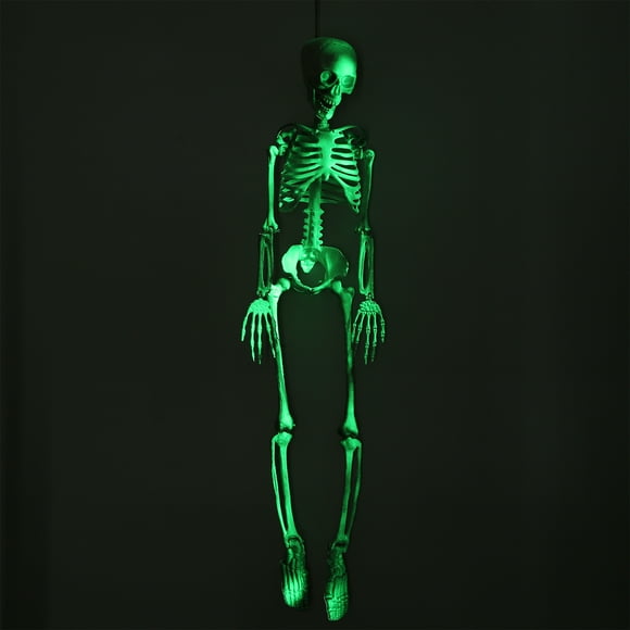 Glow The Dark Skeleton Bones