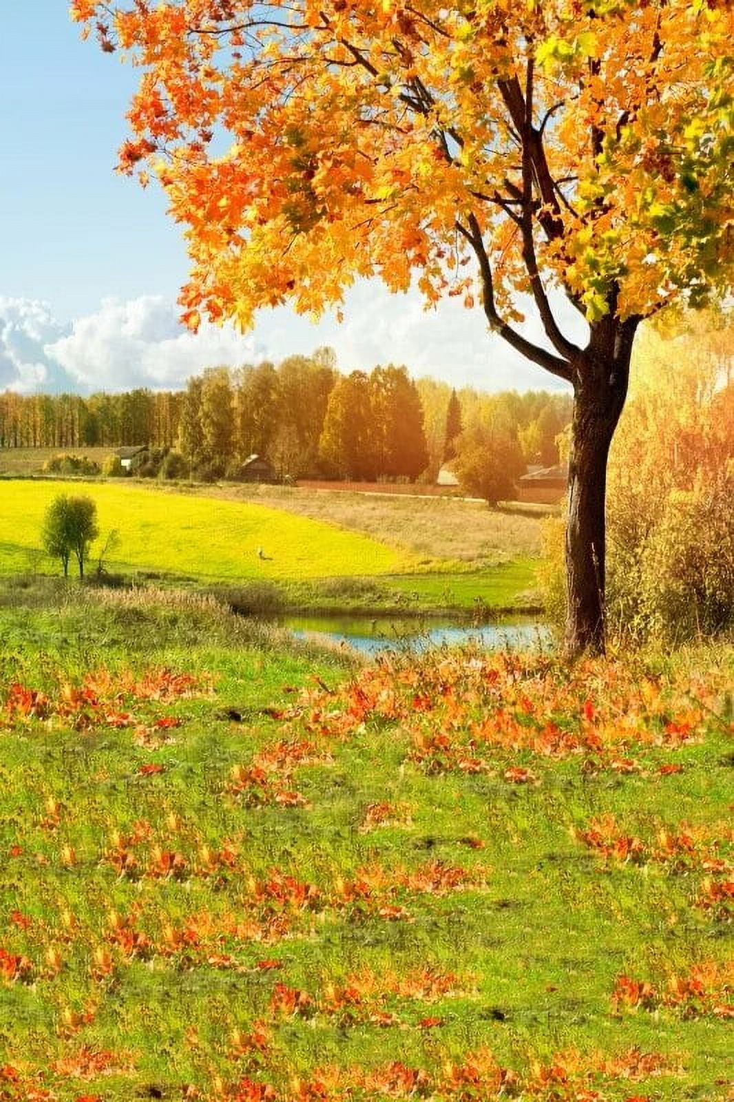 Halloween Nature Scenery Photography Backdrops Autumn Maple Forest Baby ...