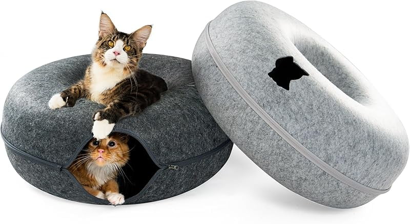 Halloween Peekaboo Cat Cave for Multiple & Large Cats Up to 30-45 Lbs ...