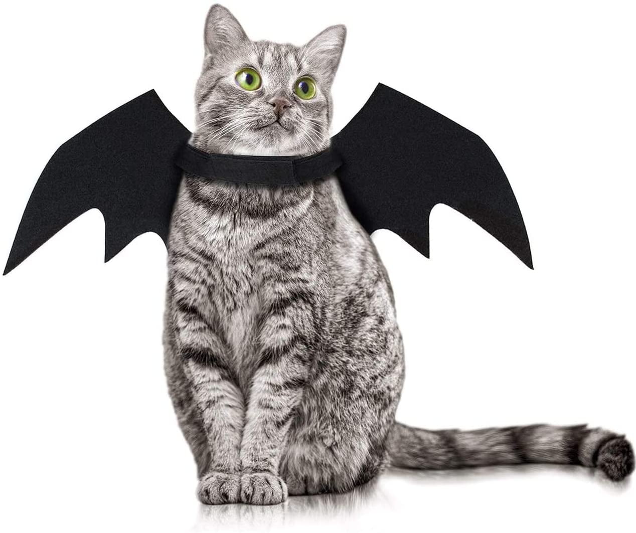 Halloween Pet Bat Wings Cat Dog Bat Costume Pet Costume Halloween ...