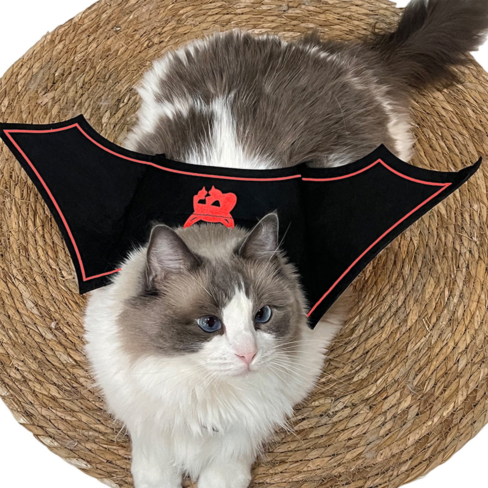 Halloween Pet Bat Wings D - Red, Adorable Cat Halloween Costume ...