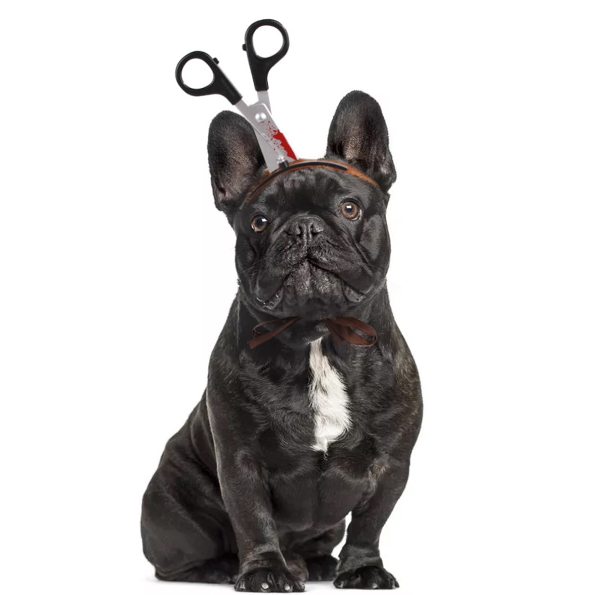 Halloween Pet Costumes Scissors Headband, Bloody Headpieces Dress-Up ...