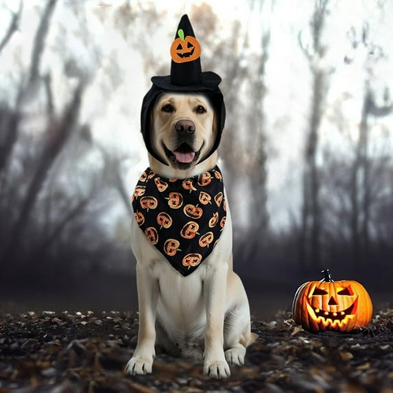 Halloween Pet Dog Bandana Set Pumpkin Design Cute Accessory For Small ...
