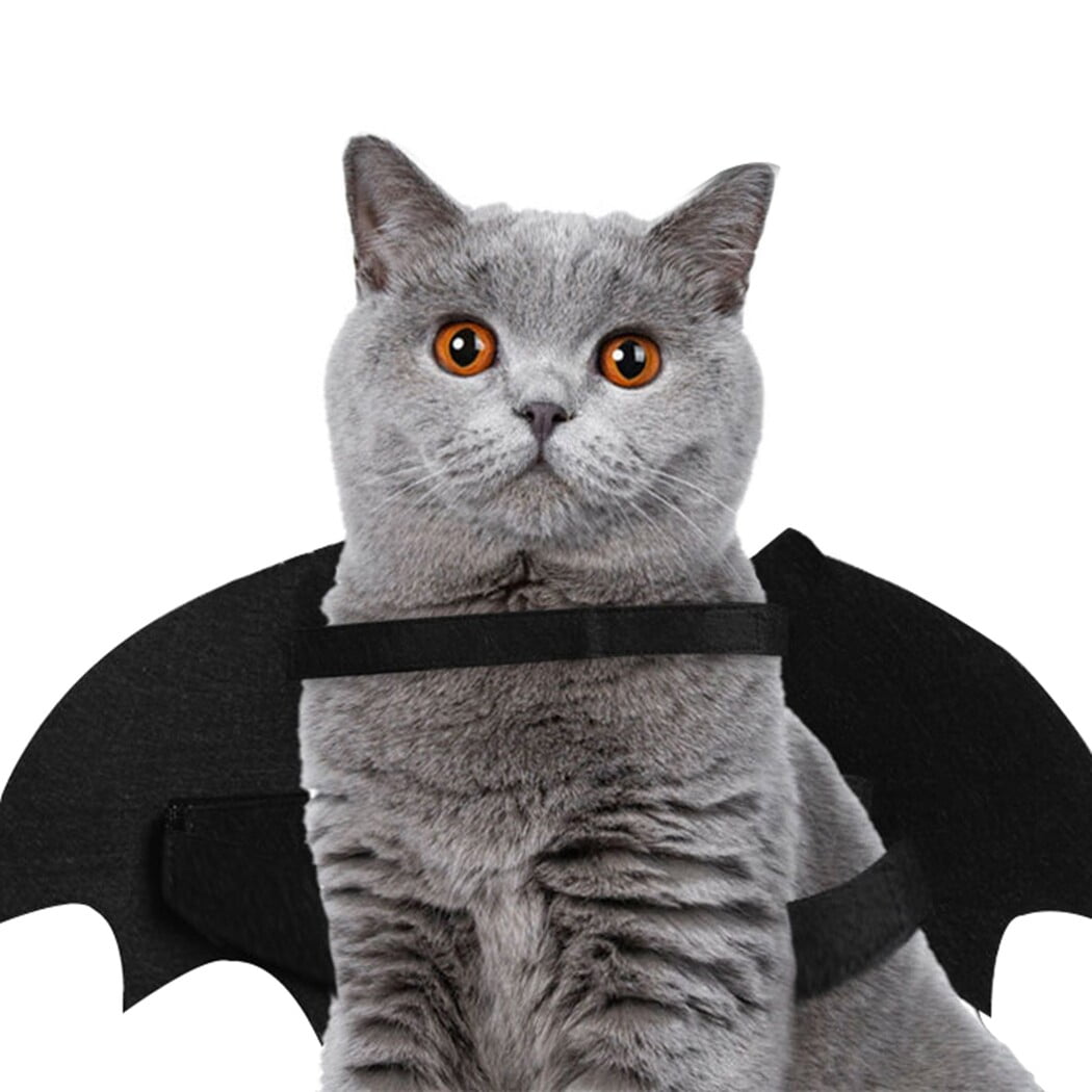 Halloween Pet Wing Reflective Funny Festive Cat Bat Costume Puppy ...